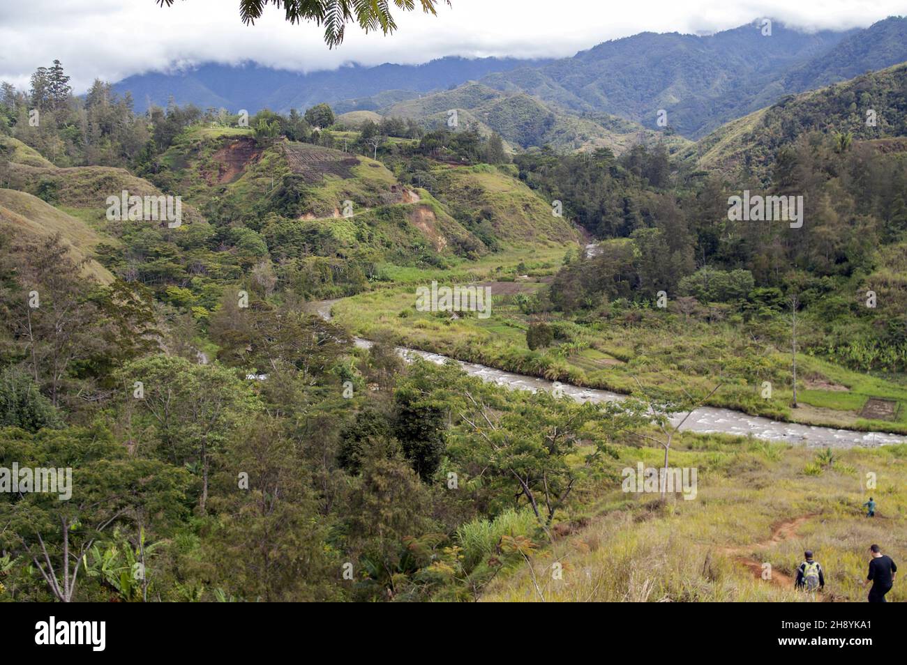 Papua New Guinea; Eastern Highlands; Goroka; Namta (Mefenga); Mountain ...