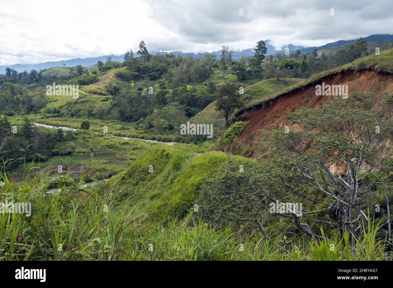 Papua New Guinea; Eastern Highlands; Goroka; Namta; Mountain landscape ...