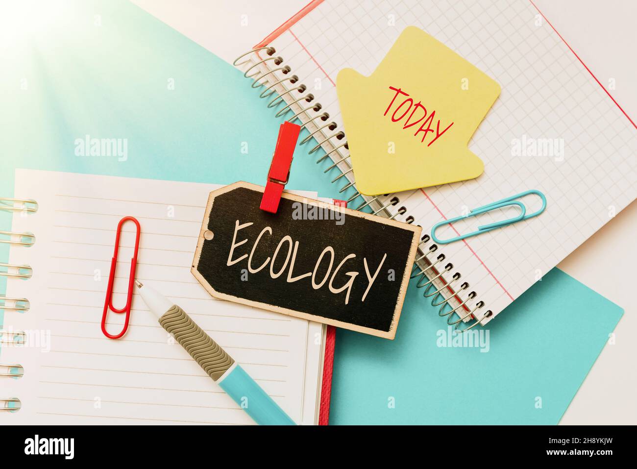 Text showing inspiration Ecology. Business overview Branch of science ...