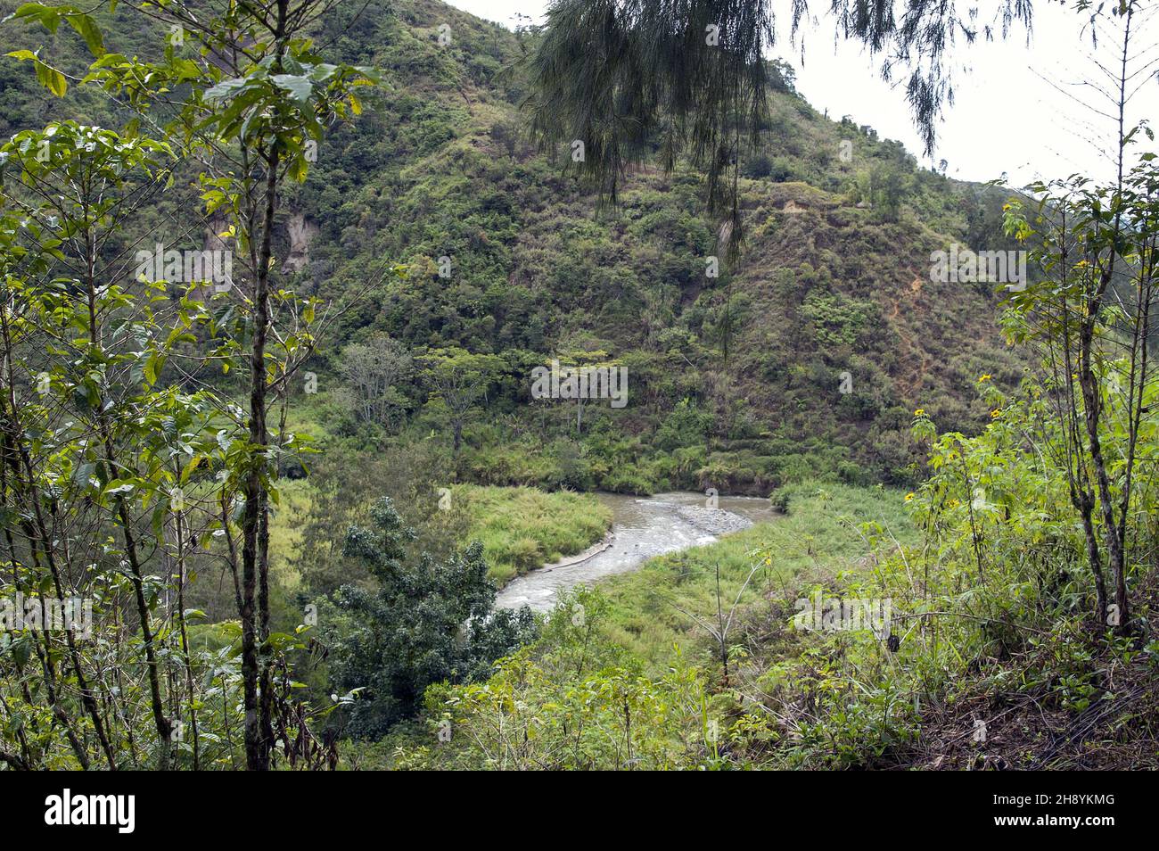 Papua New Guinea; Eastern Highlands; Goroka; Namta (Mefenga); Mountain ...