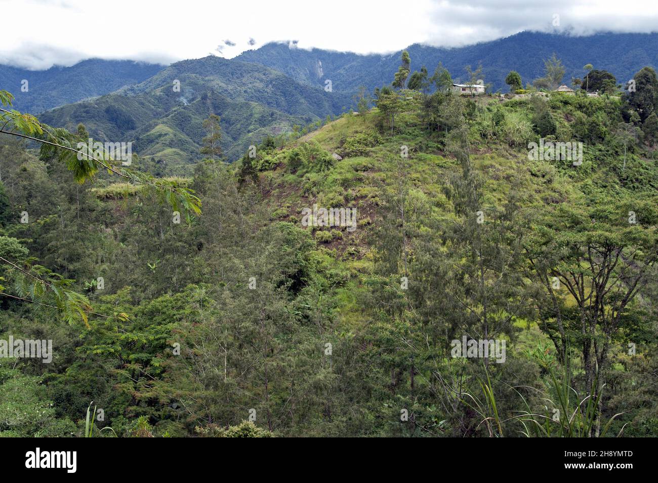 Papua New Guinea; Eastern Highlands; Goroka; Namta (Mefenga); typical ...