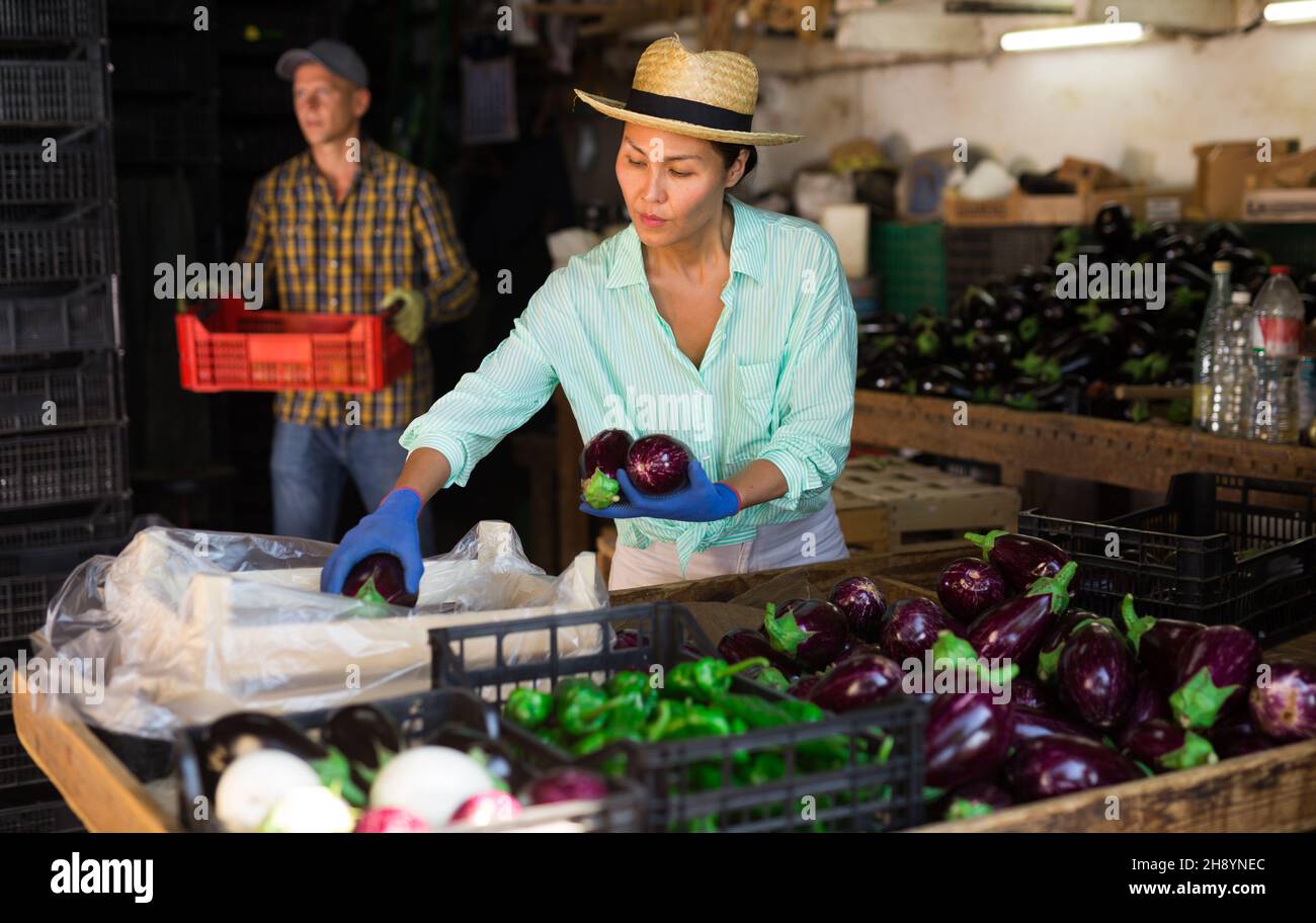 Farm workers harvesting crop packing hi-res stock photography and ...