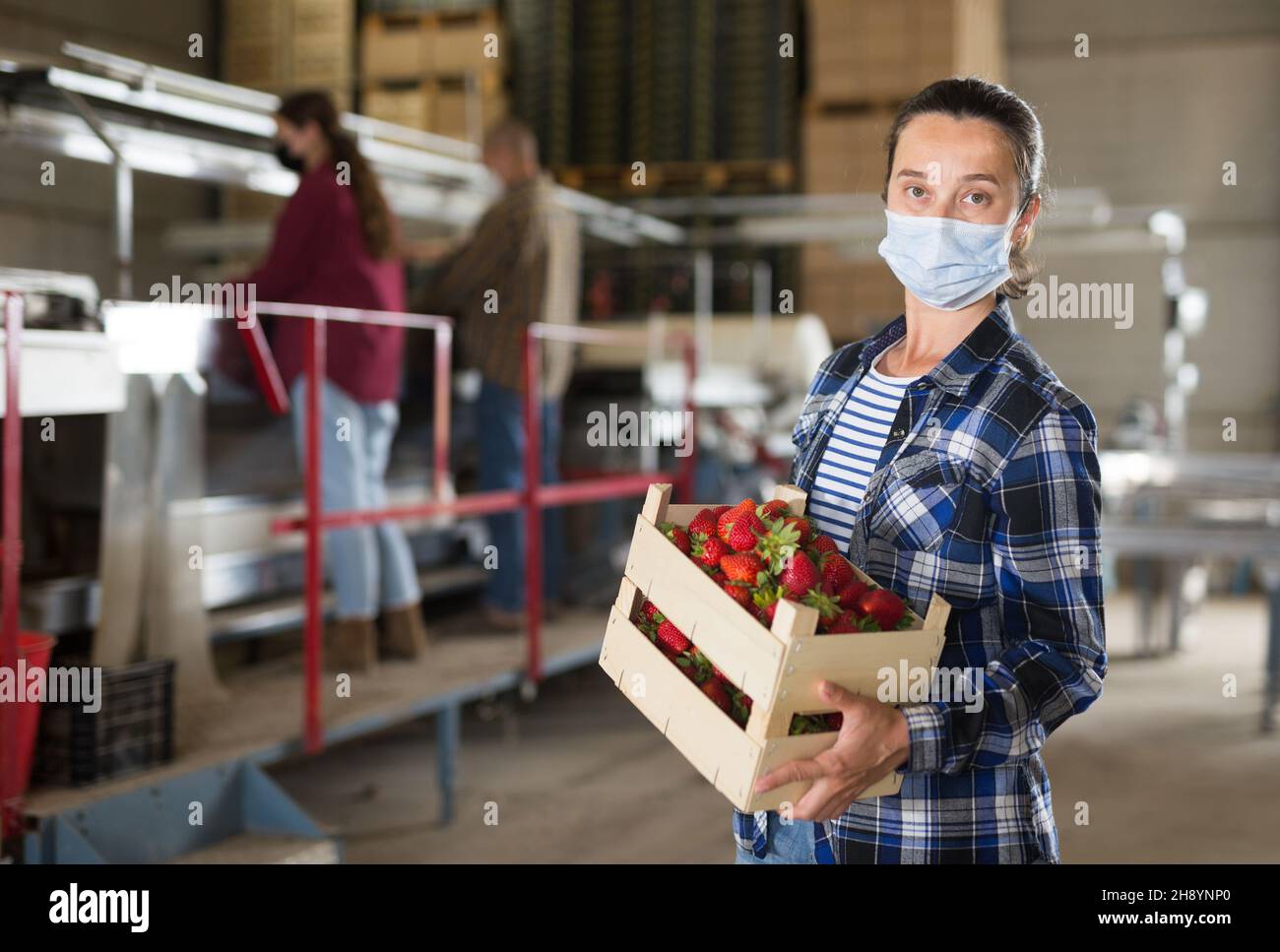 Woman holding strawberry box at fruit warehouse Stock Photo - Alamy