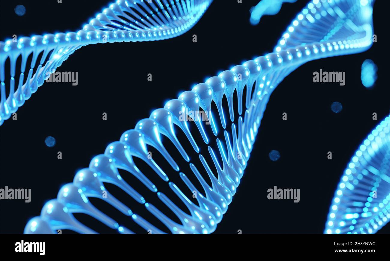 Blue helix DNA Chromosome genetic modification on black background ...
