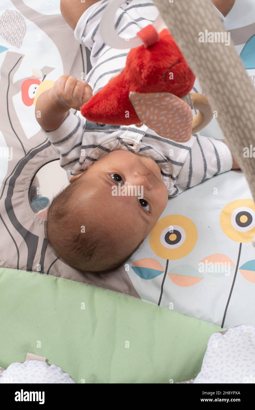 Pre development hi-res stock photography and images - Alamy