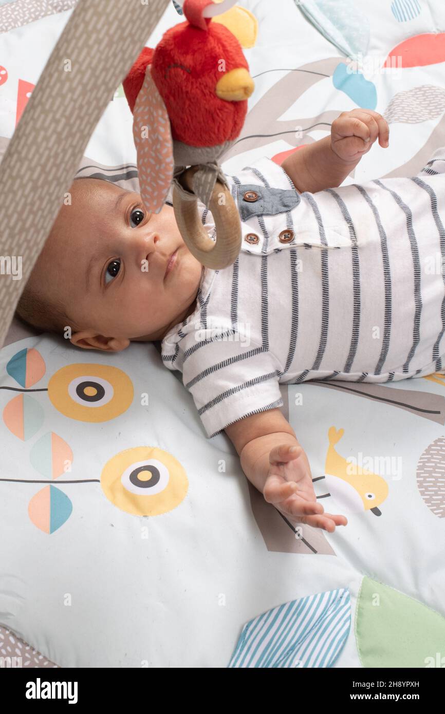 Dangling toys hi-res stock photography and images - Alamy