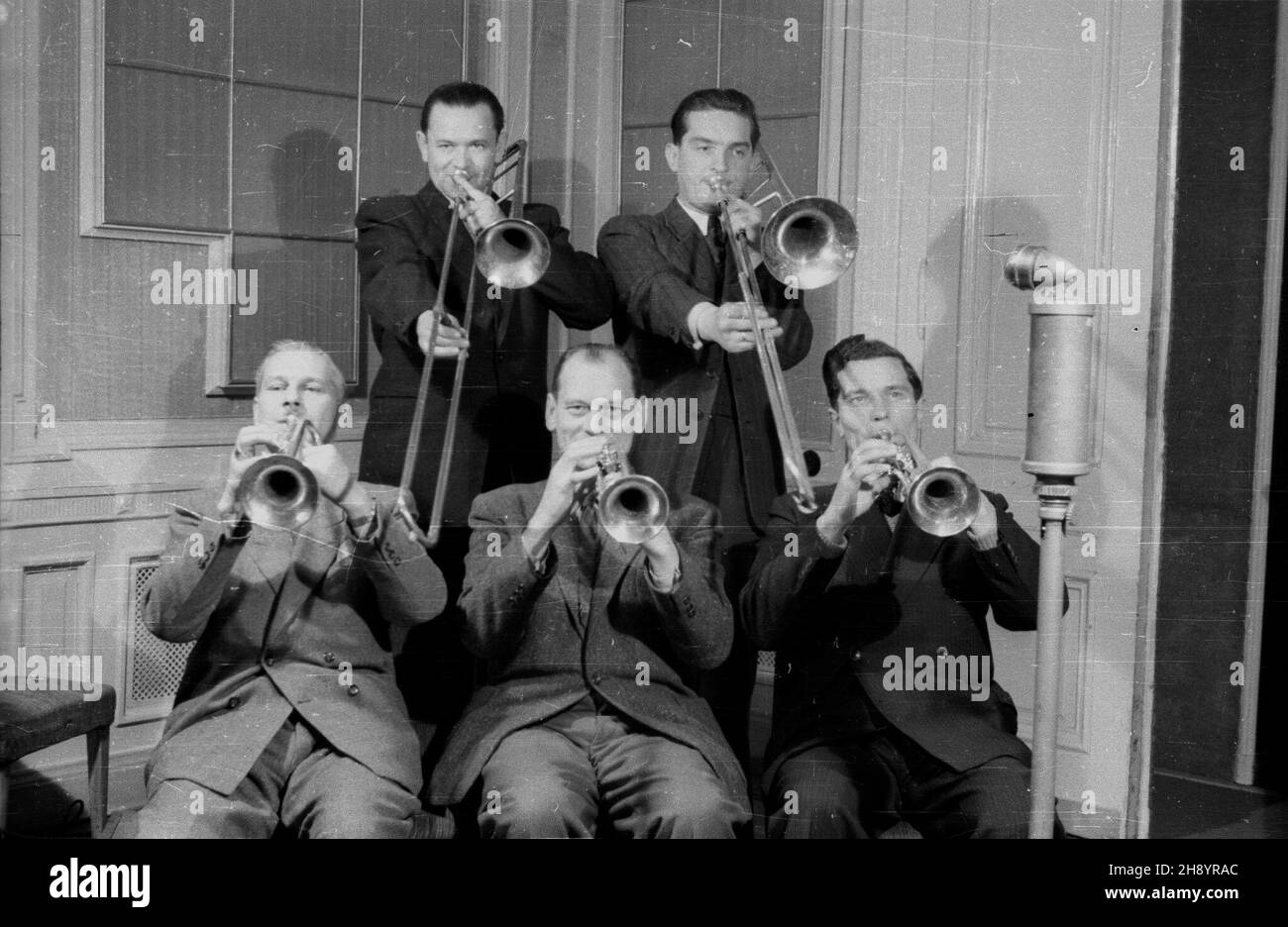 Polish trumpeter hi-res stock photography and images - Alamy