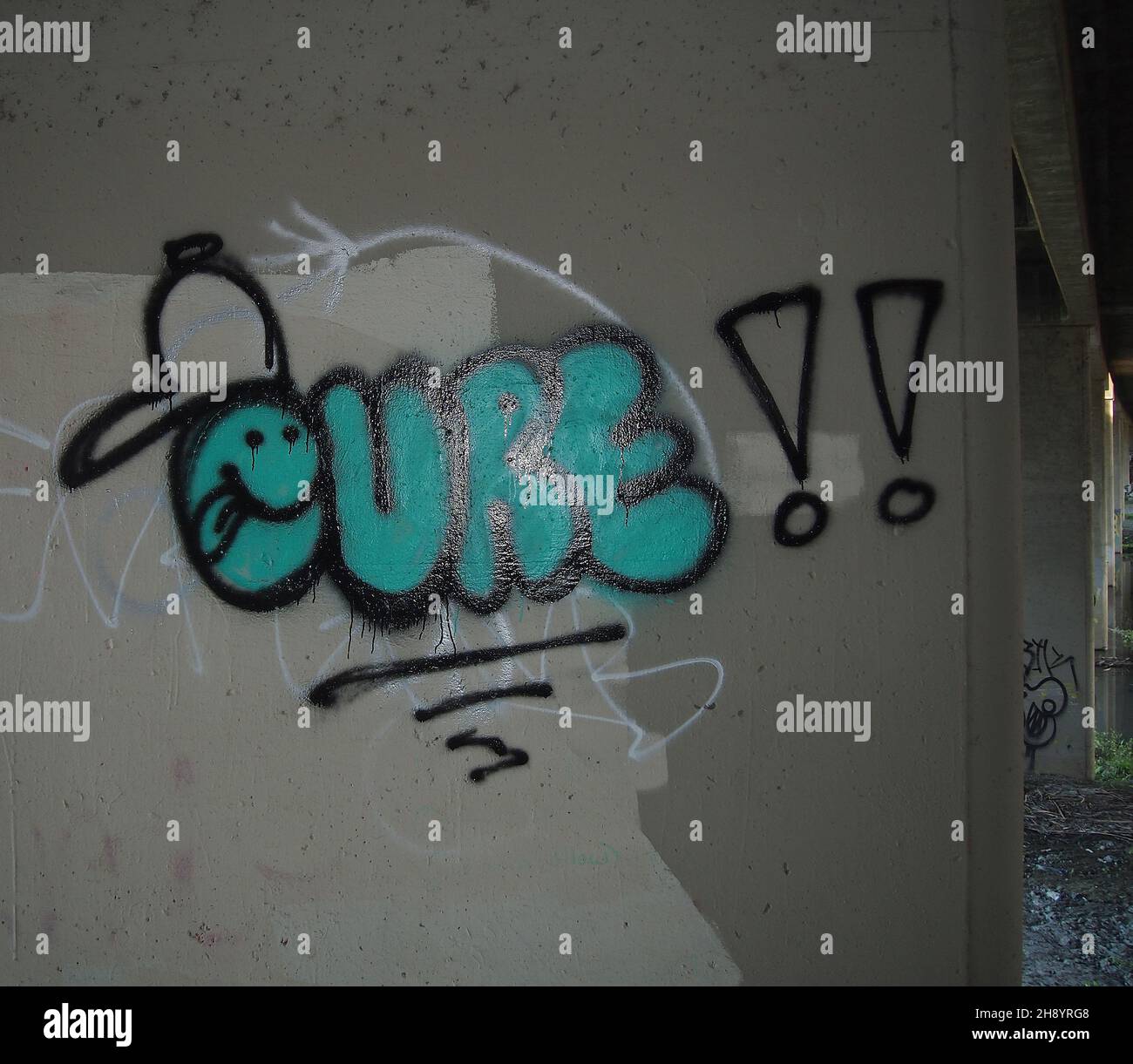 cure graffiti on 880 freeway overpass support wall, Alameda Creek ...