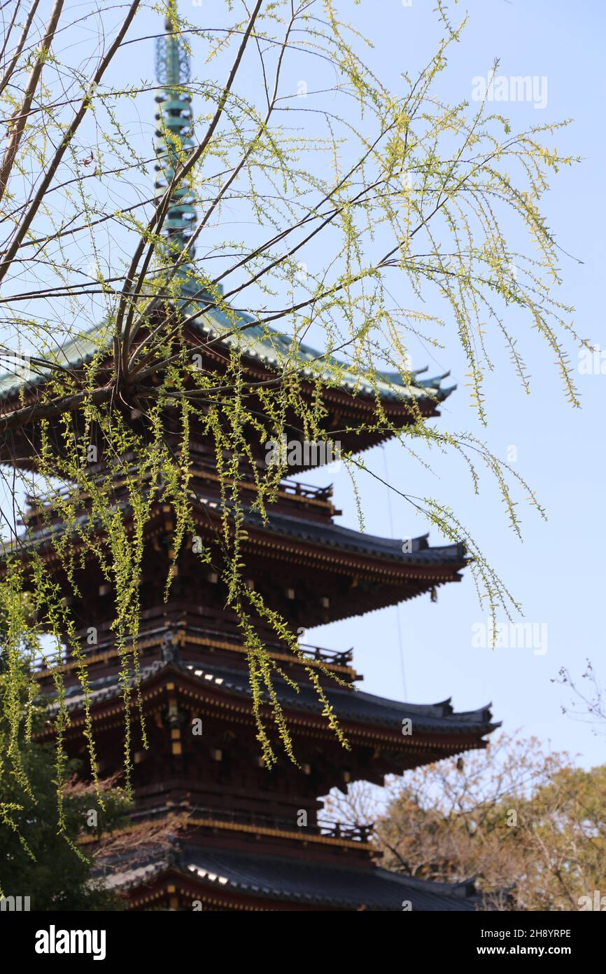 Ueno Tokyo Temple Stock Photo - Alamy
