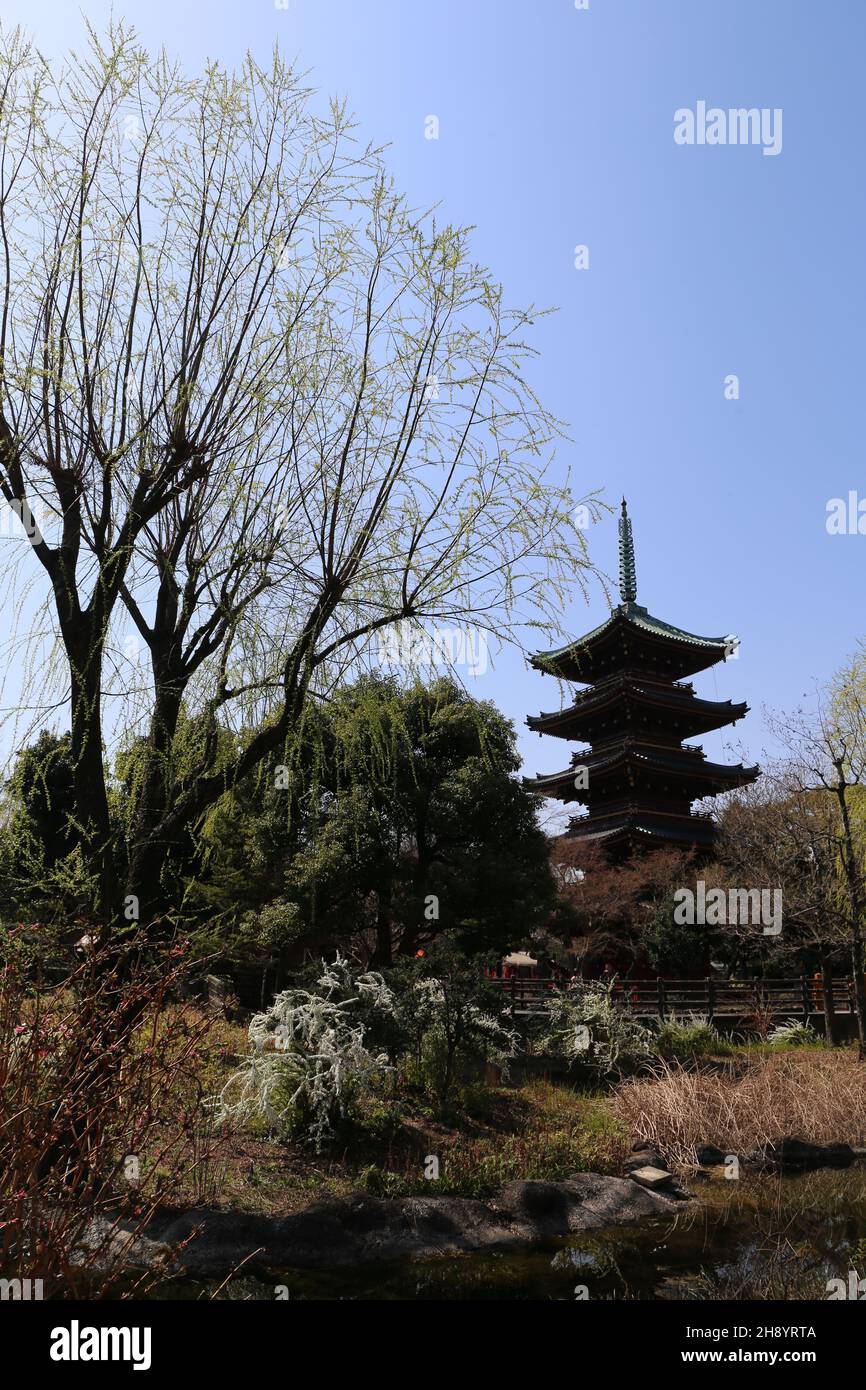 Ueno Tokyo Temple Stock Photo - Alamy