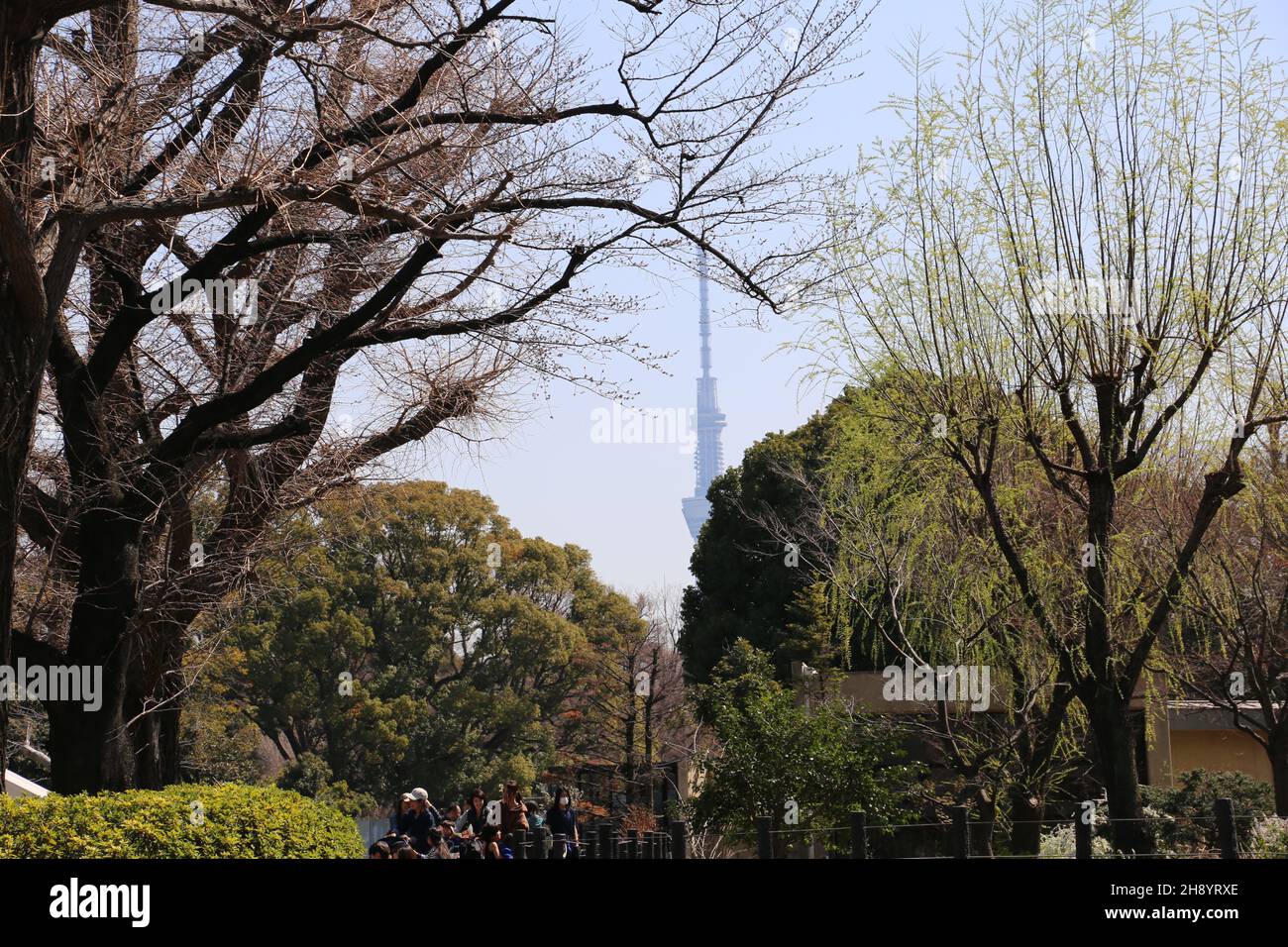Ueno Tokyo Temple Stock Photo - Alamy