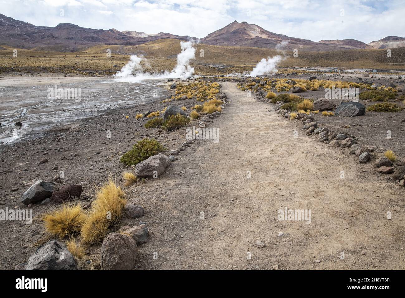 Steaming hot springs on the Atacama desert in Chile, South America ...