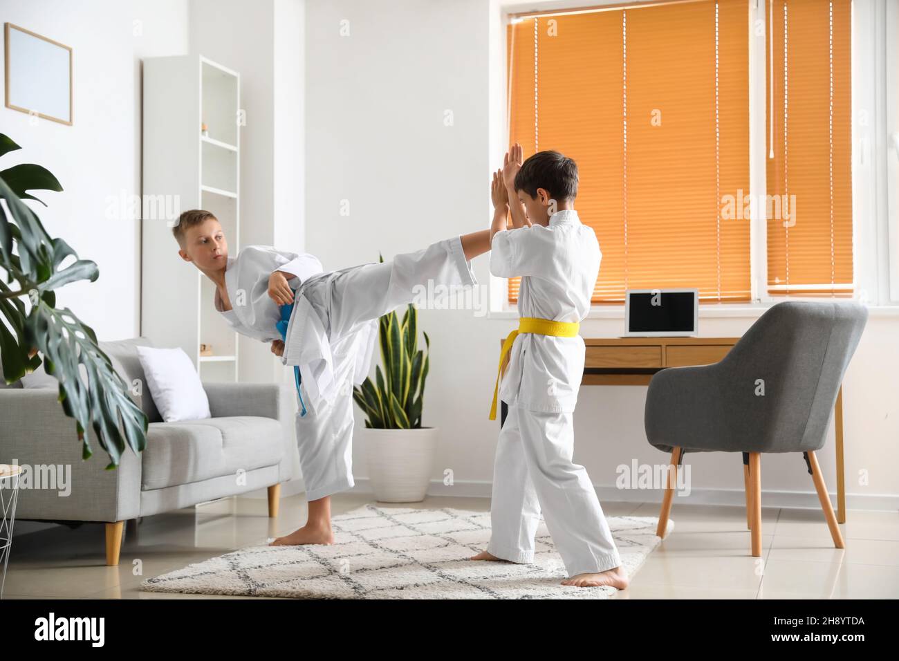 Little boys practicing karate at home Stock Photo - Alamy