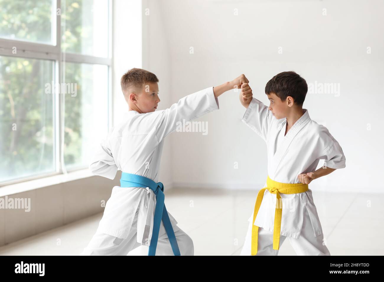 Little boys practicing karate in gym Stock Photo - Alamy