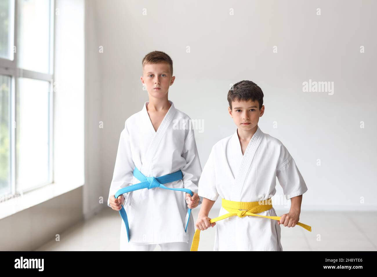 Little boys practicing karate in gym Stock Photo - Alamy