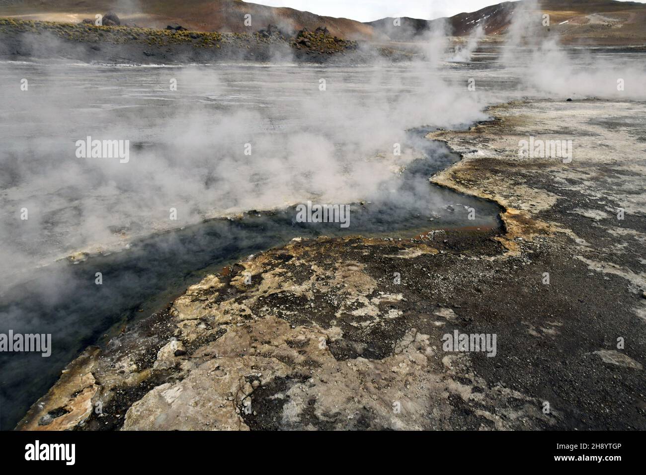 Steaming hot springs on the Atacama desert in Chile, South America ...