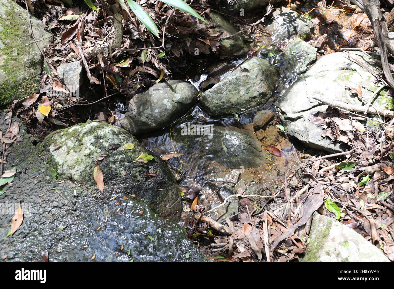 Nebo queensland hi-res stock photography and images - Alamy