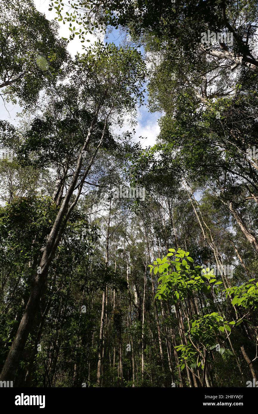 Nebo queensland hi-res stock photography and images - Alamy