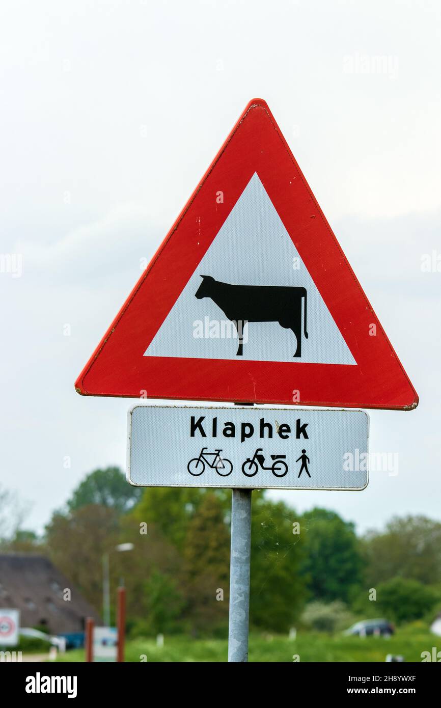 Cattle crossing ahead hi-res stock photography and images - Alamy