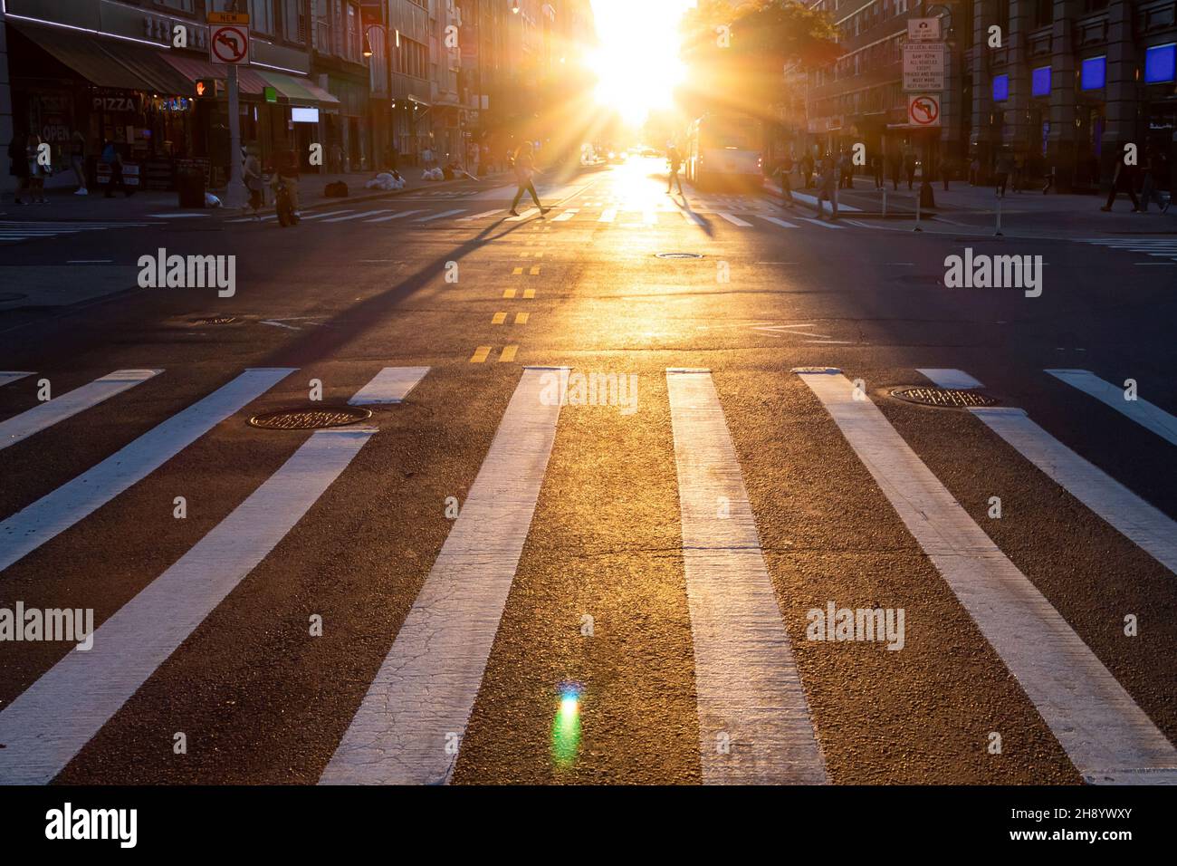 Empty crosswalk with no people on 14th Street in New York City with ...