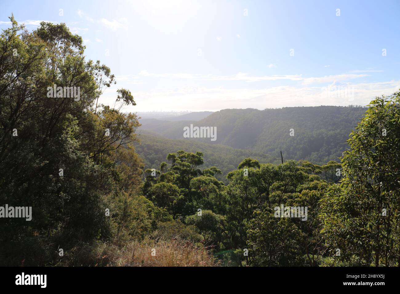 Springbrook lookout queensland hi-res stock photography and images - Alamy