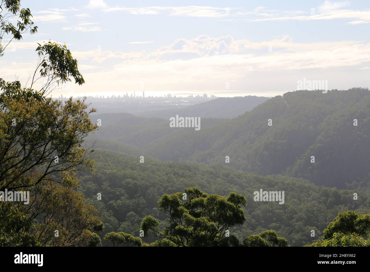 Springbrook lookout queensland hi-res stock photography and images - Alamy