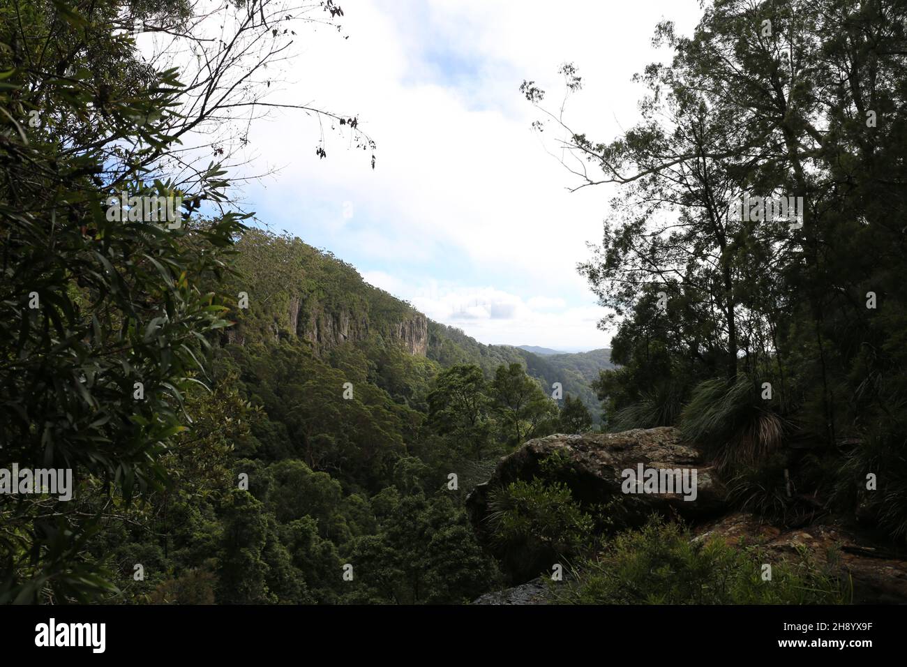 Springbrook lookout queensland hi-res stock photography and images - Alamy