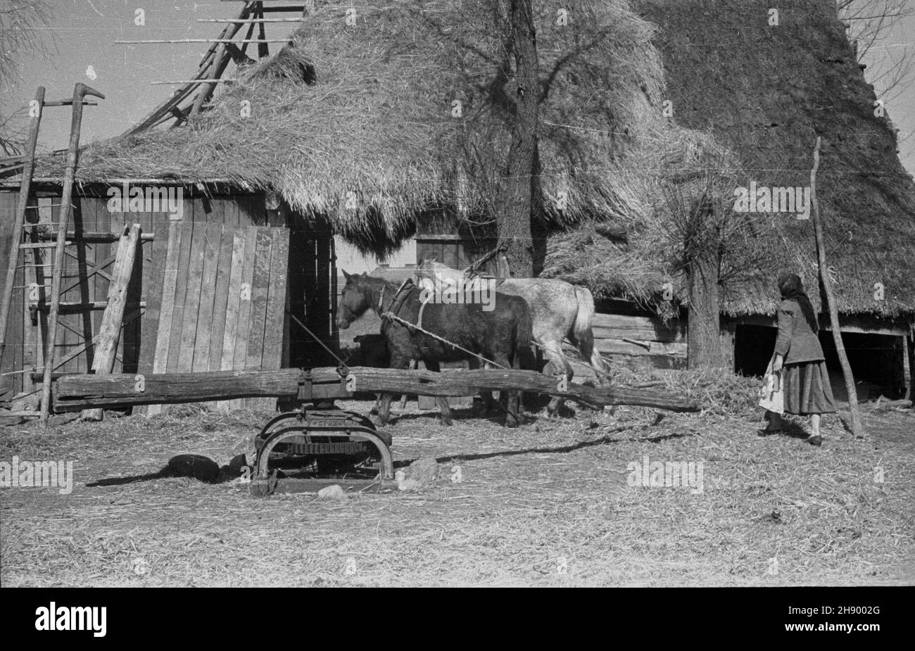 Kierat Black and White Stock Photos & Images - Alamy