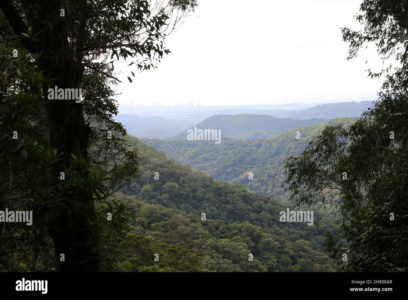 Springbrook lookout queensland hi-res stock photography and images - Alamy