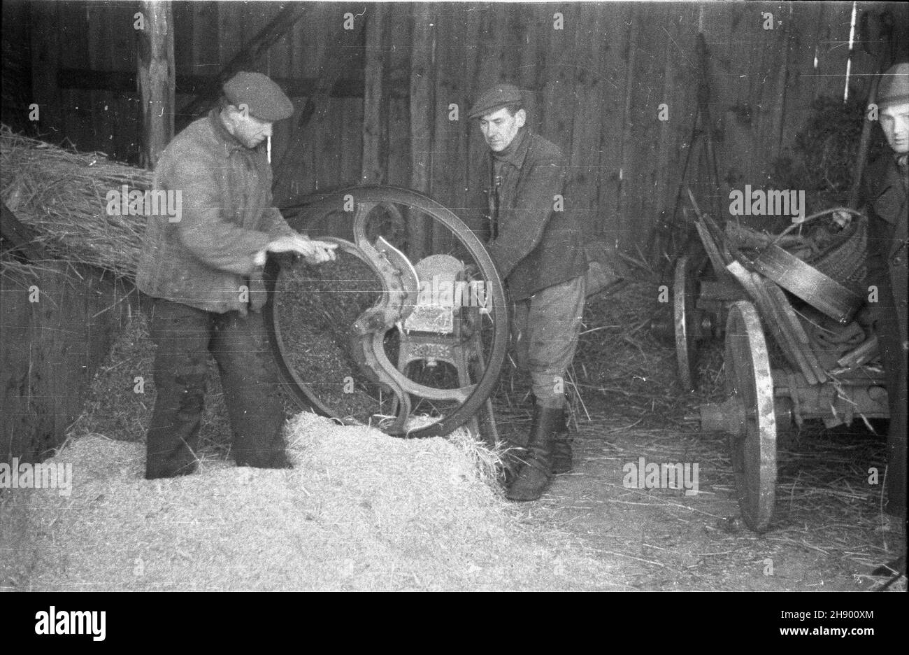 Polska, 1947. Praca na wsi. Nz. rolnicy tn¹ s³omê na sieczkê w ...