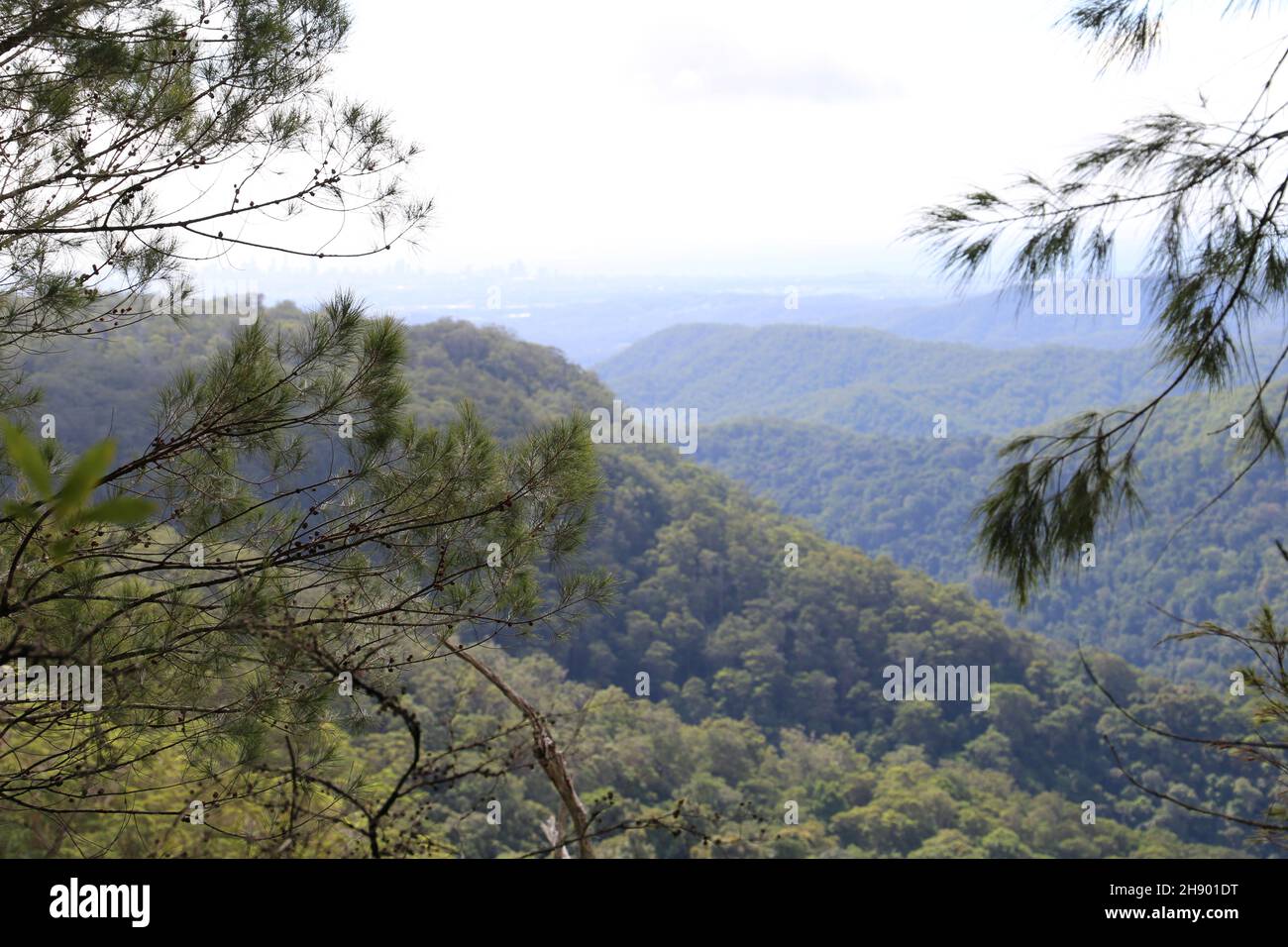 Springbrook lookout queensland hi-res stock photography and images - Alamy