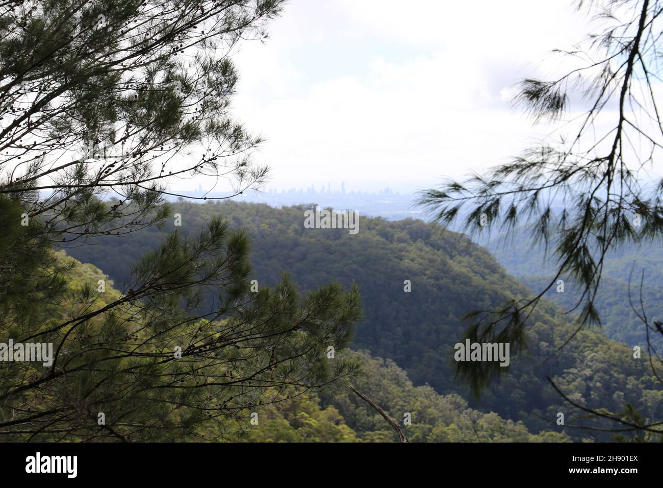 Springbrook lookout queensland hi-res stock photography and images - Alamy