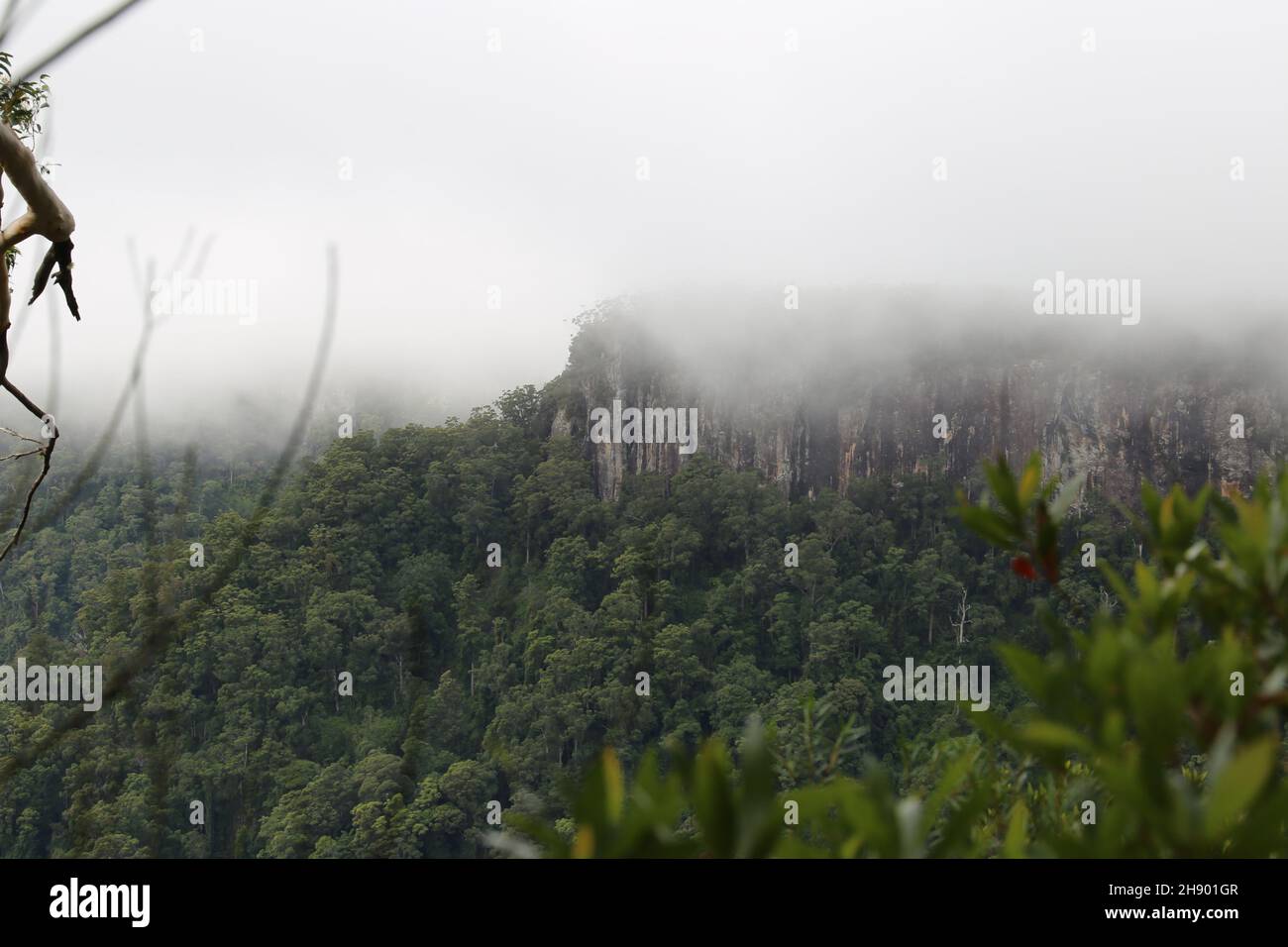 Springbrook lookout queensland hi-res stock photography and images - Alamy