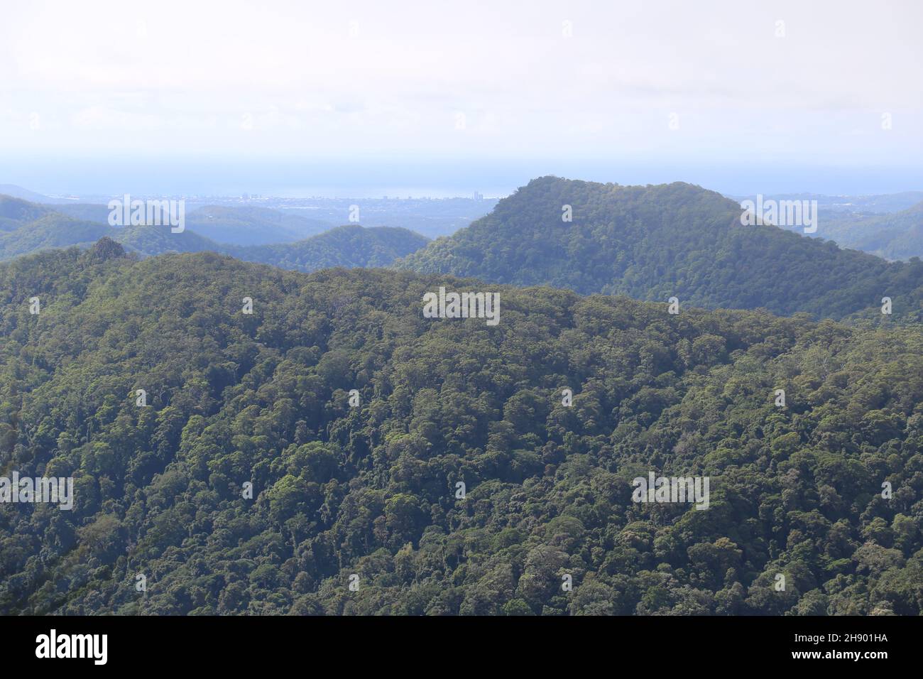 Springbrook lookout queensland hi-res stock photography and images - Alamy
