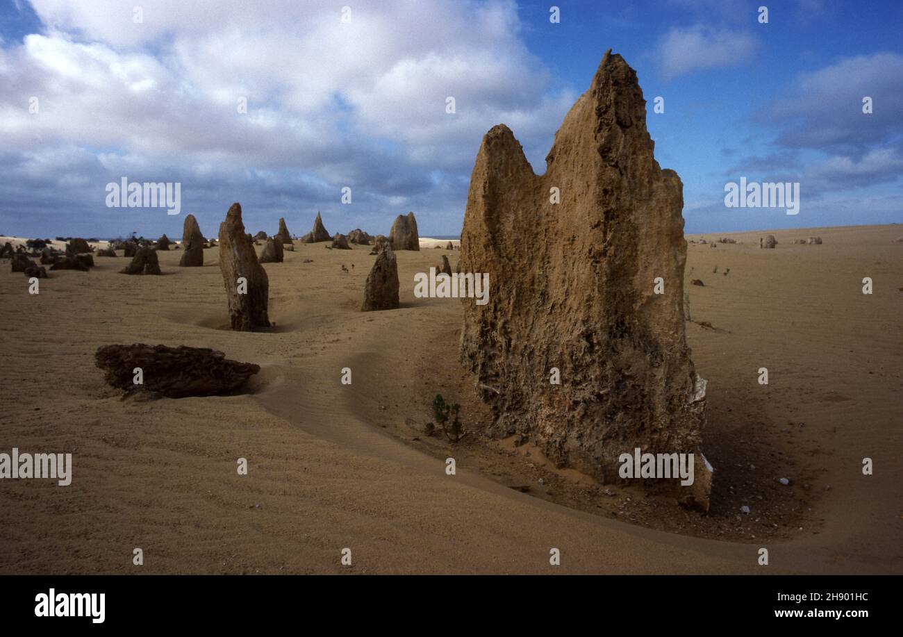 NAMBUNG NATIONAL PARK IN WESTERN AUSTRALIA CONTAINS THE PINNACLES ...