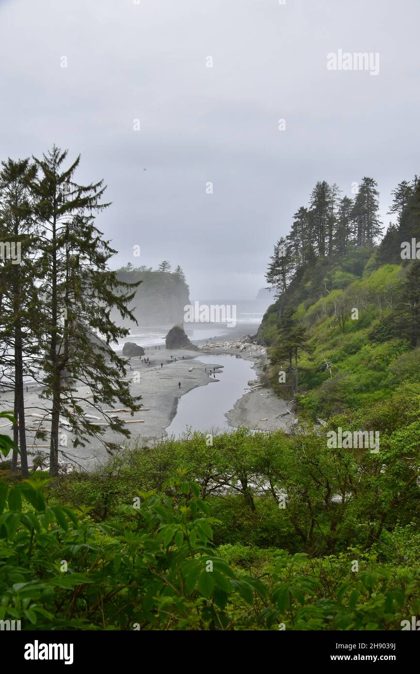 Ruby Beach on the Pacific Ocean in the Olympic National Park on a Foggy ...