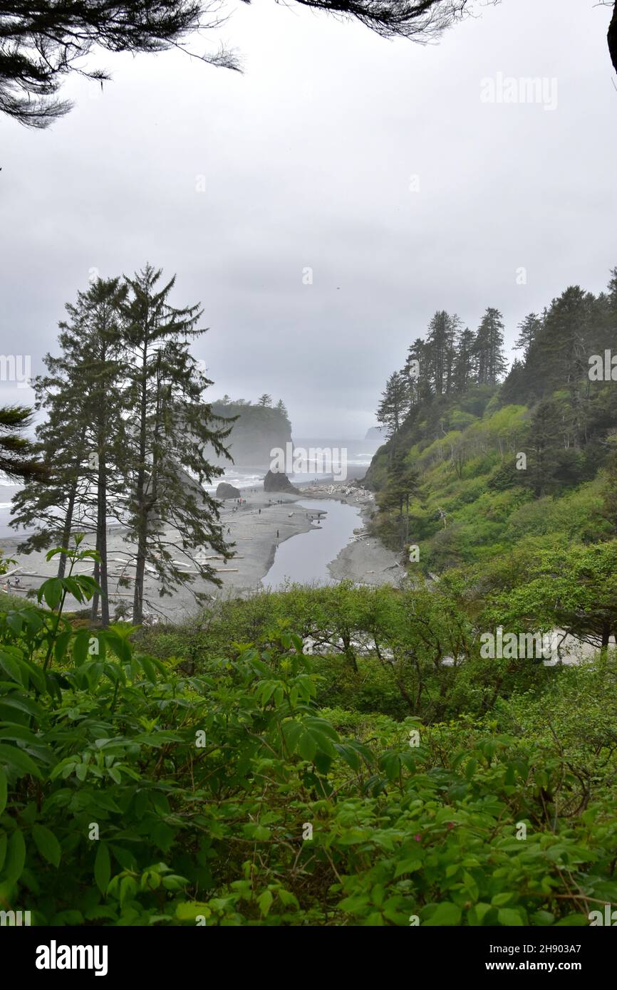 Ruby Beach on the Pacific Ocean in the Olympic National Park on a Foggy ...
