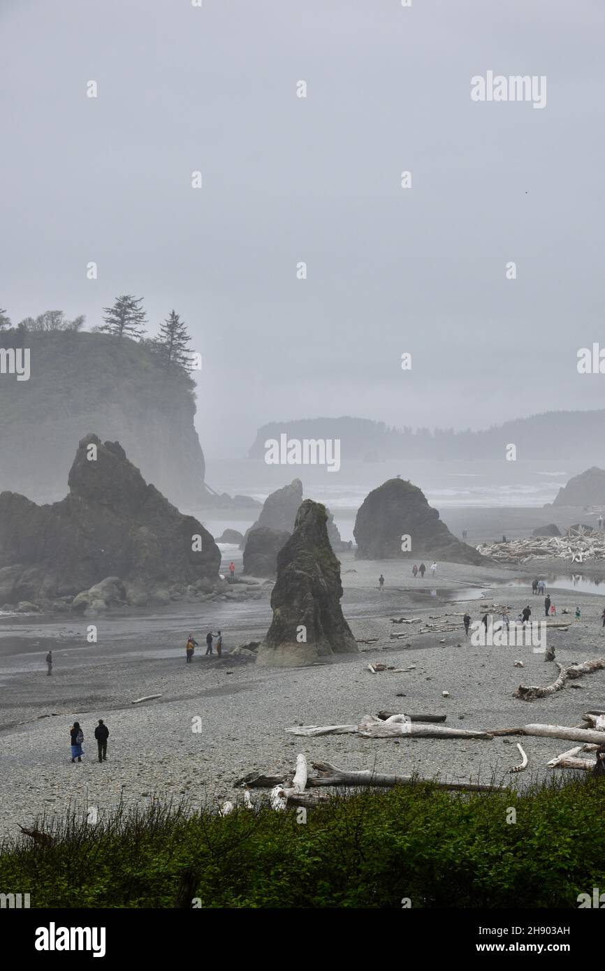 Ruby Beach on the Pacific Ocean in the Olympic National Park on a Foggy ...