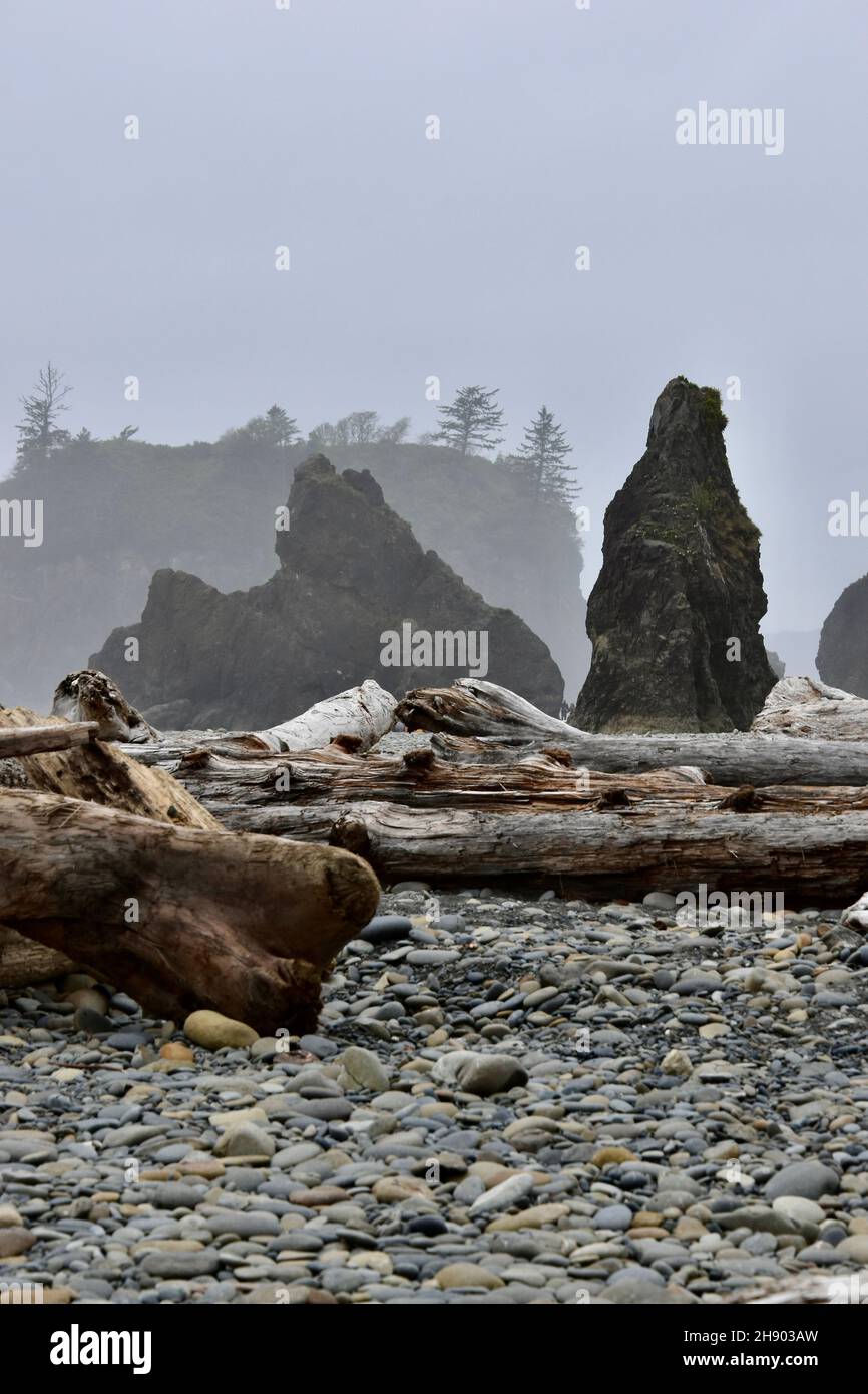 Ruby Beach on the Pacific Ocean in the Olympic National Park on a Foggy ...