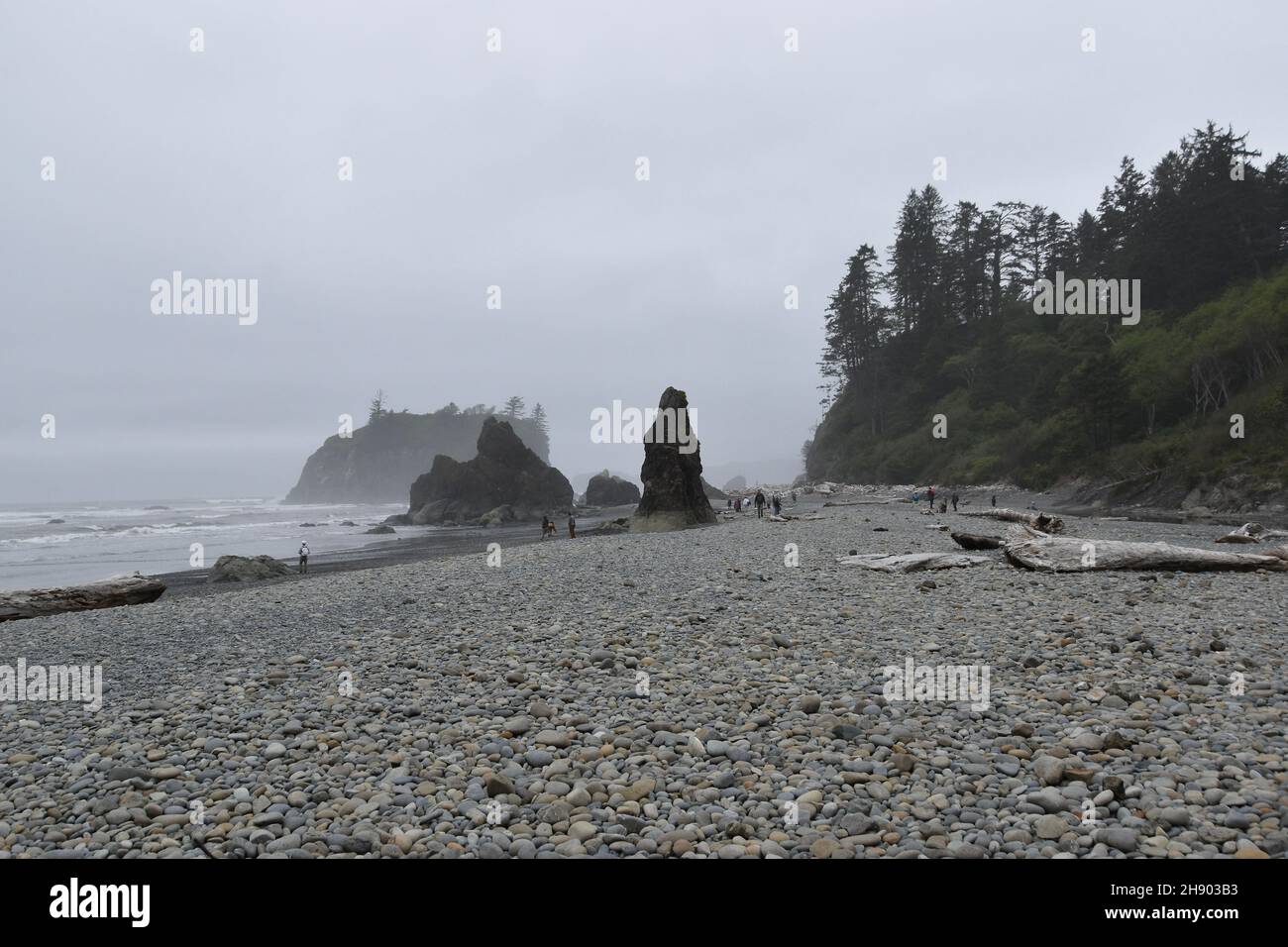 Ruby Beach on the Pacific Ocean in the Olympic National Park on a Foggy ...