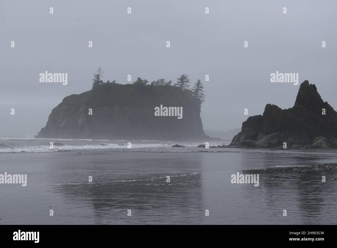 Ruby Beach on the Pacific Ocean in the Olympic National Park on a Foggy ...