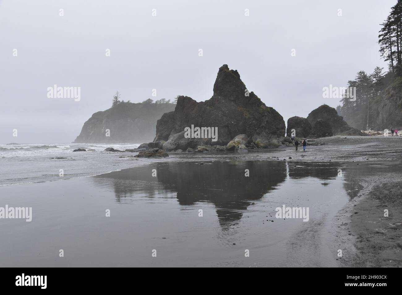 Ruby Beach on the Pacific Ocean in the Olympic National Park on a Foggy ...