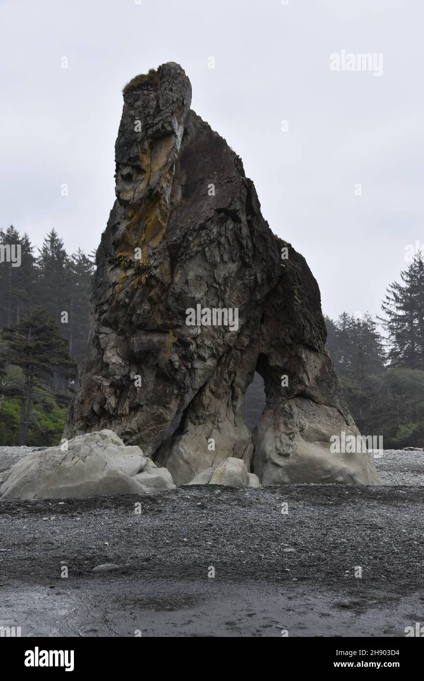 Ruby Beach on the Pacific Ocean in the Olympic National Park on a Foggy ...