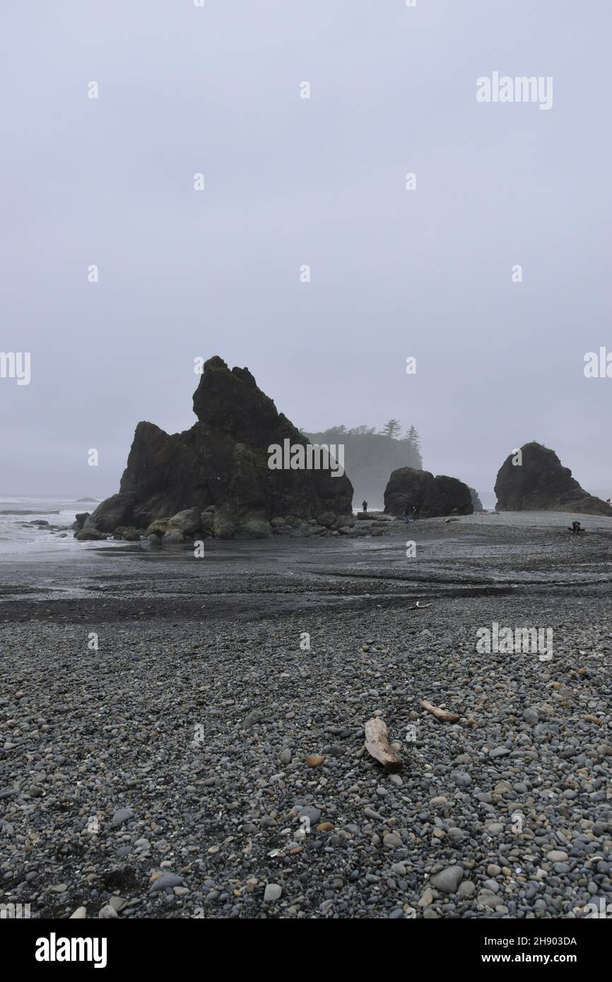 Ruby Beach on the Pacific Ocean in the Olympic National Park on a Foggy ...