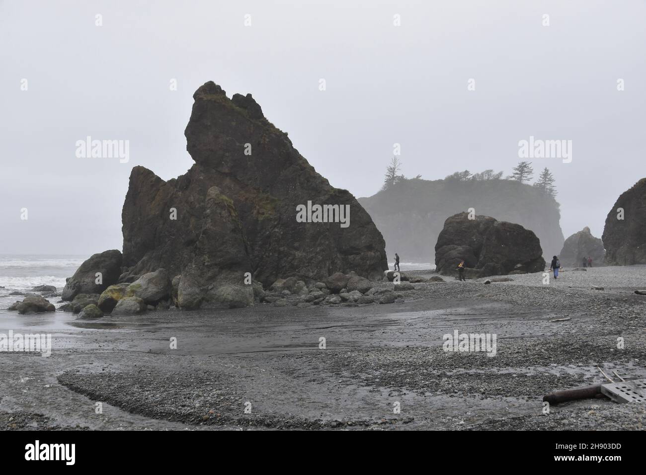 Ruby Beach on the Pacific Ocean in the Olympic National Park on a Foggy ...