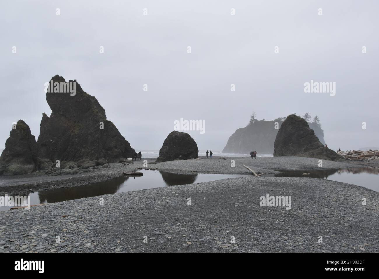 Ruby Beach on the Pacific Ocean in the Olympic National Park on a Foggy ...