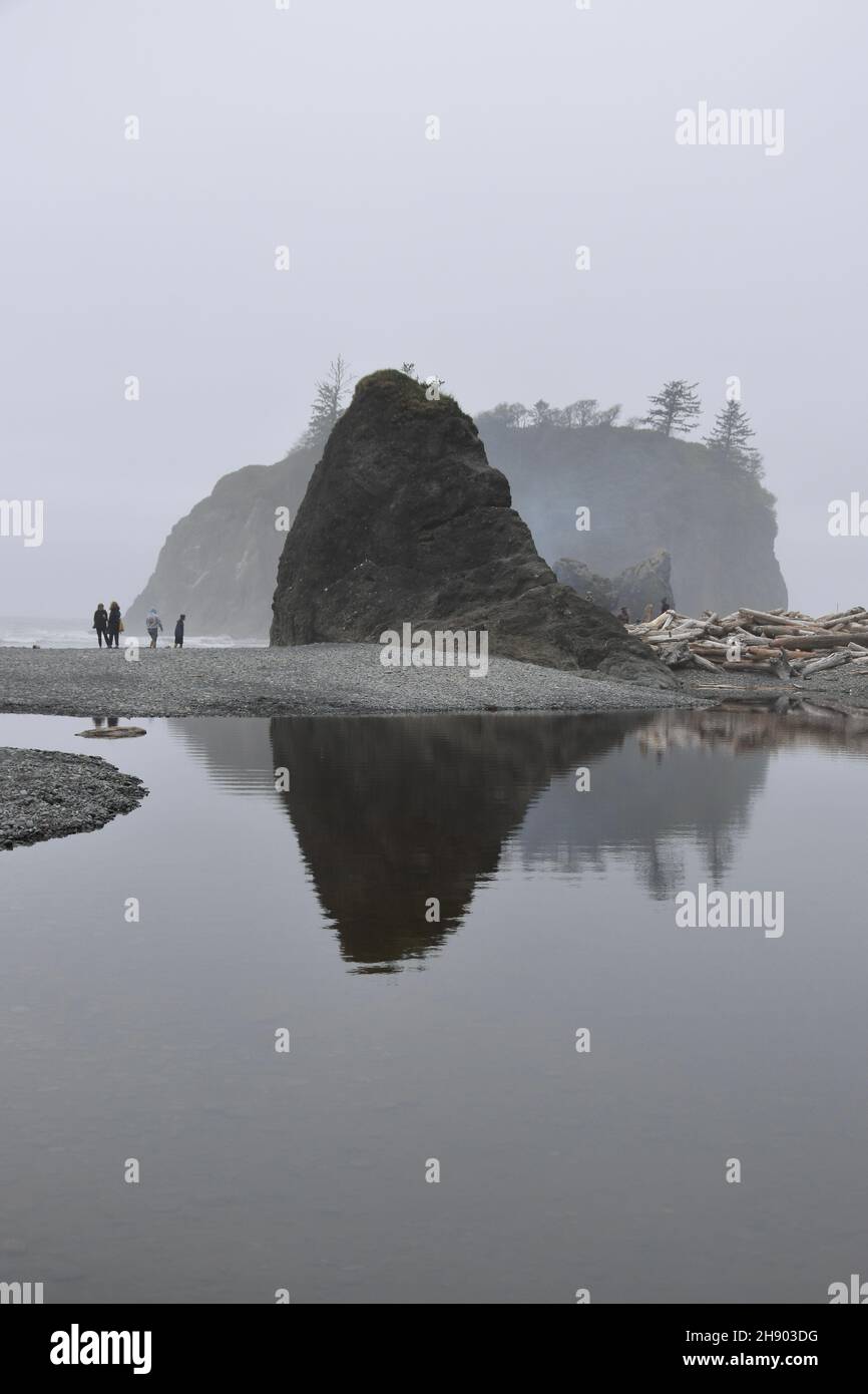 Ruby Beach on the Pacific Ocean in the Olympic National Park on a Foggy ...