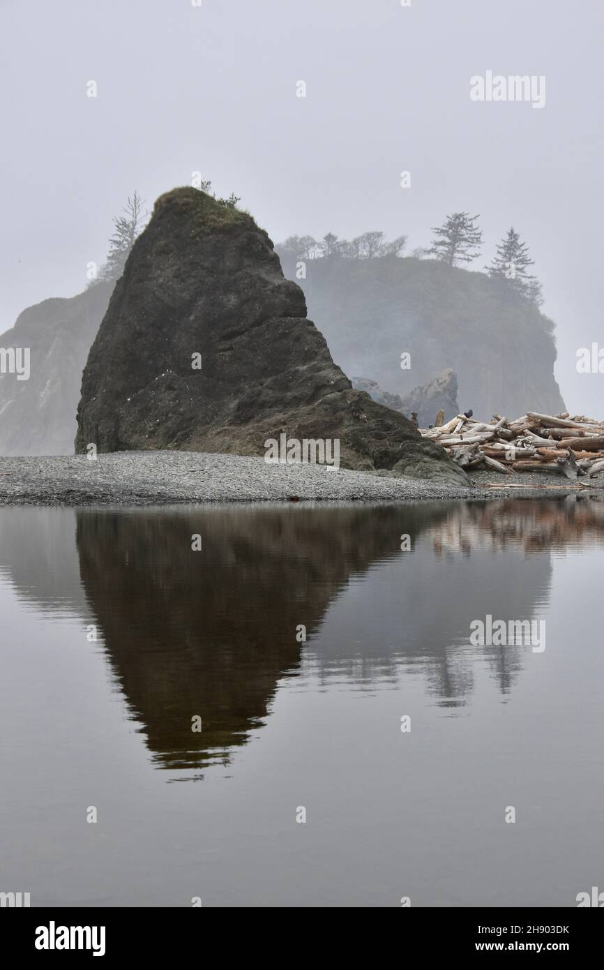 Ruby Beach on the Pacific Ocean in the Olympic National Park on a Foggy ...