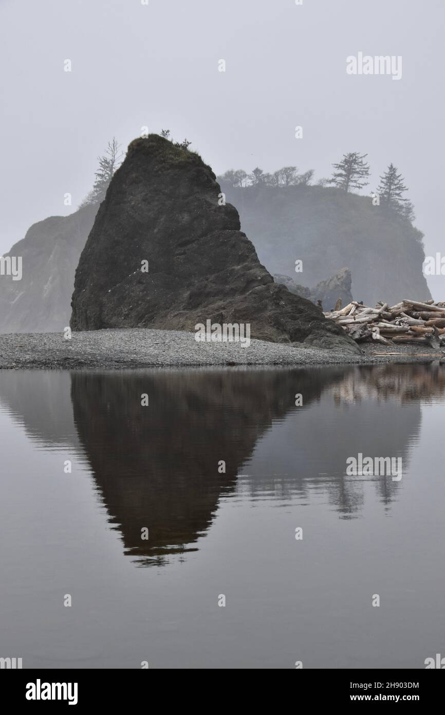 Ruby Beach on the Pacific Ocean in the Olympic National Park on a Foggy ...