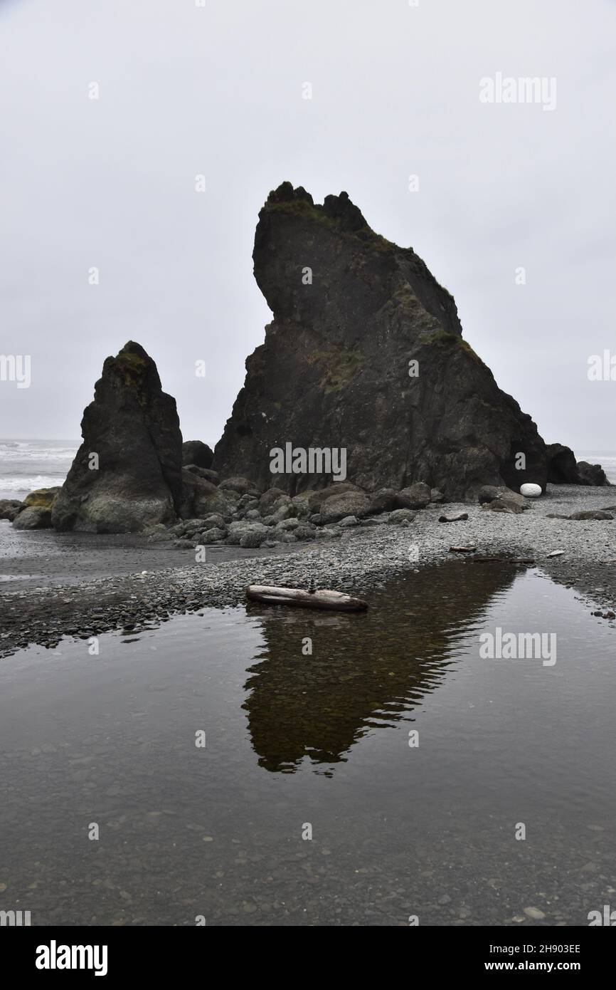 Ruby Beach on the Pacific Ocean in the Olympic National Park on a Foggy ...